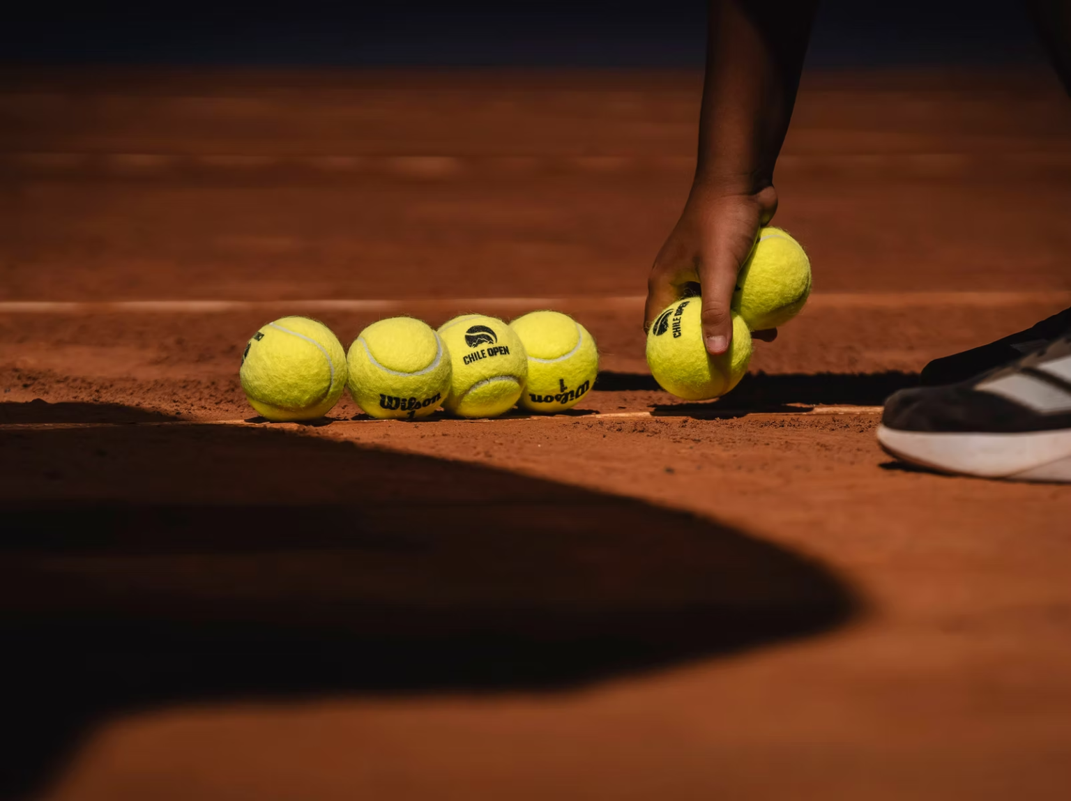 Chile Open 2026: El N°1 de Sudamérica Francisco Cerúndolo confirmado ...